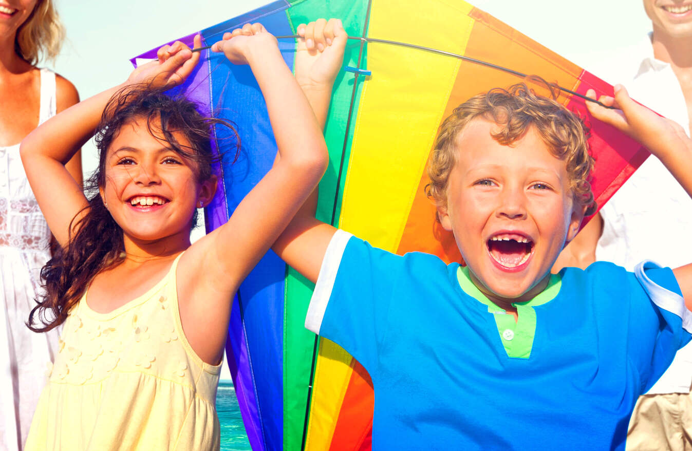 Sun Kites - Easy Fly Kites for Children & Adults